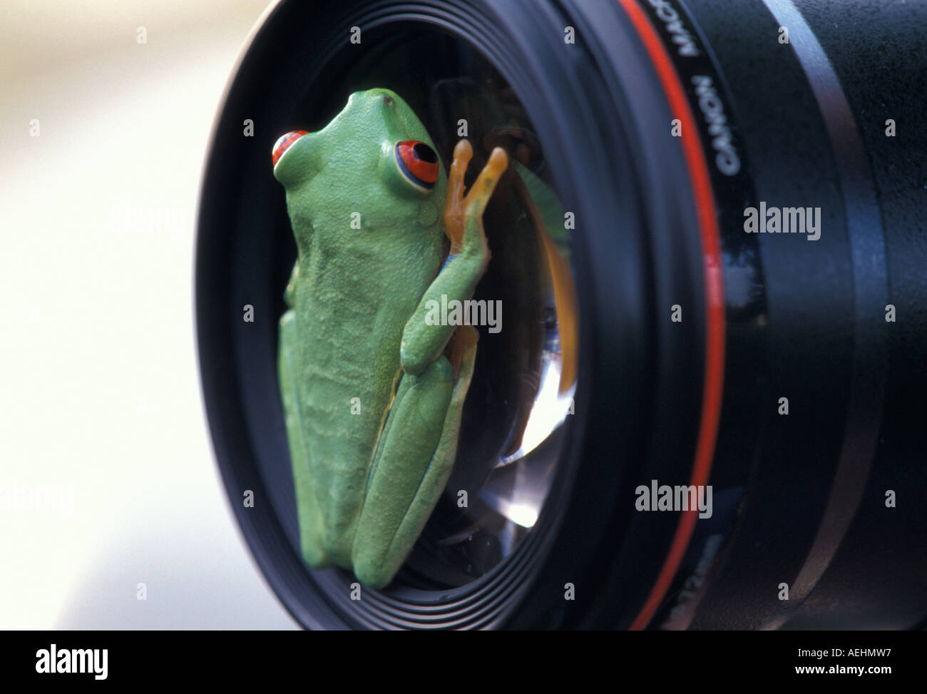 Lens and sit hi-res stock photography and images - Alamy