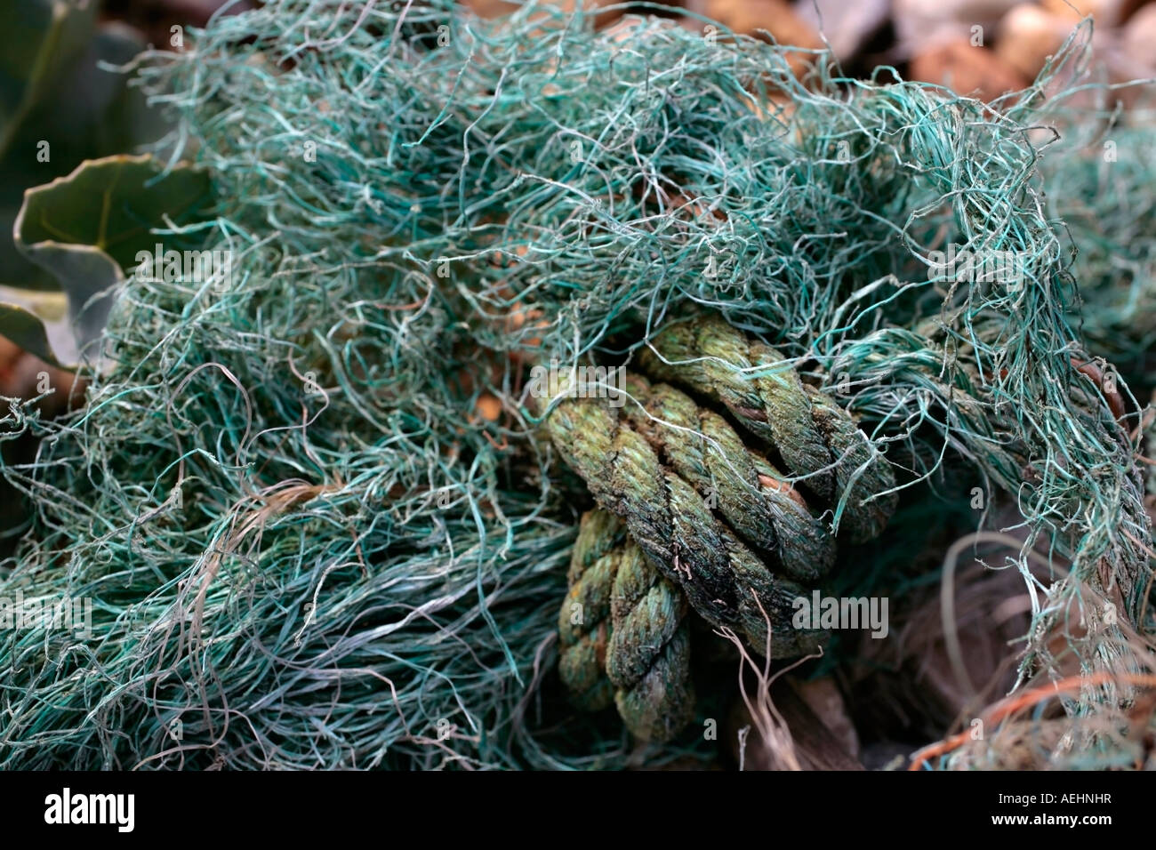 A piece of weathered rope and blue netting tangled up together Stock ...