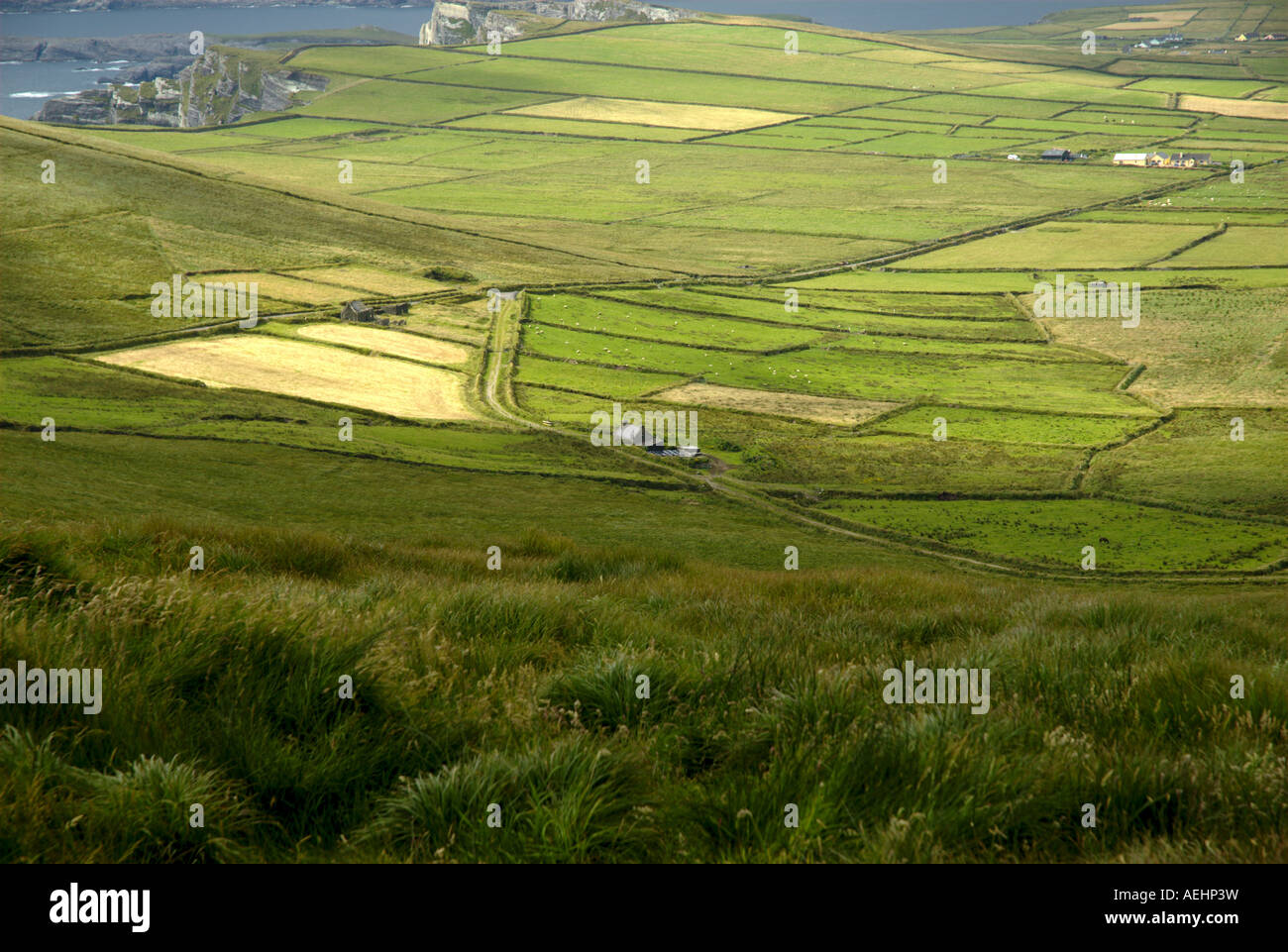 Green Fields Of Ireland High Resolution Stock Photography and Images ...