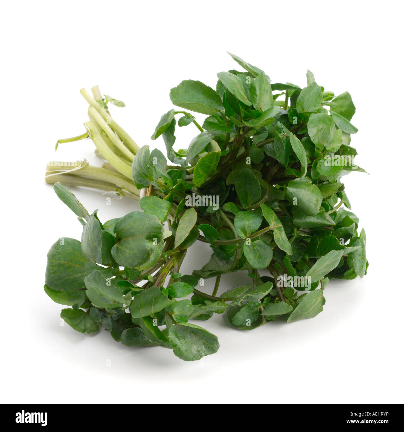 Bunch of watercress Stock Photo - Alamy