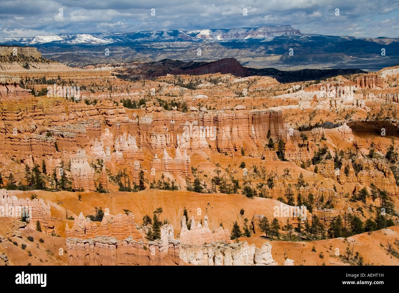 A horizontal picture showing some of the unique features of Bryce ...