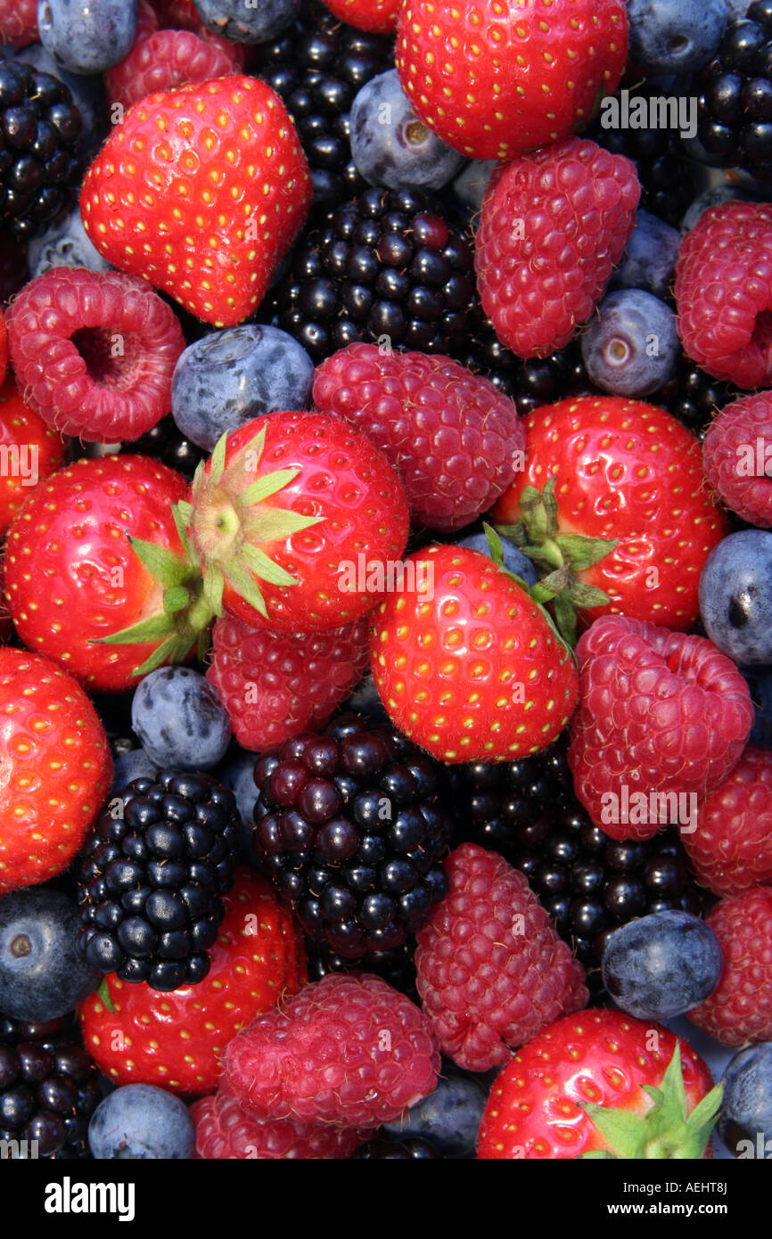 Mixed berries portrait view from above of berries filling the frame ...