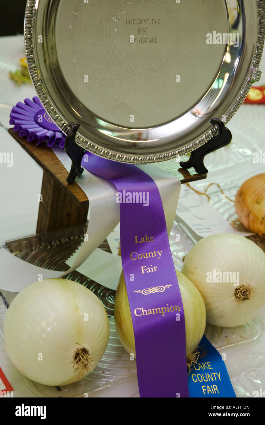 Winning products hi-res stock photography and images - Alamy