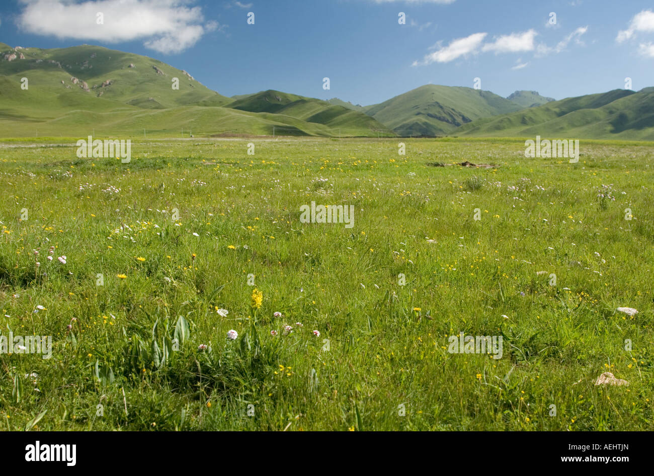 Zoige grasslands hi-res stock photography and images - Alamy
