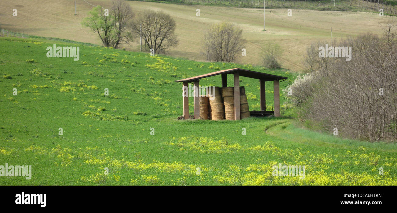 Spring in the country Stock Photo - Alamy