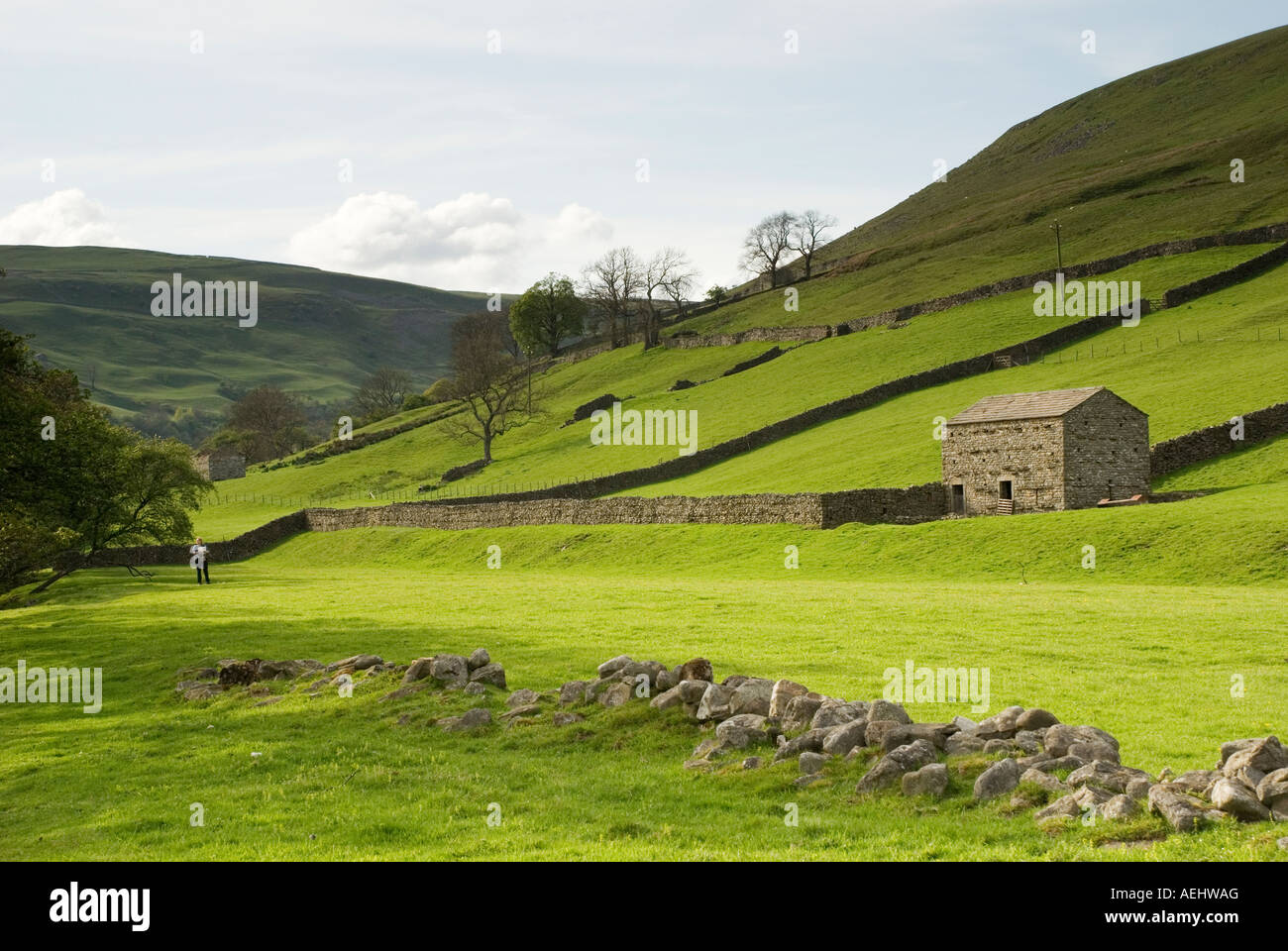 Stone walls and barn in Swaledale Stock Photo - Alamy