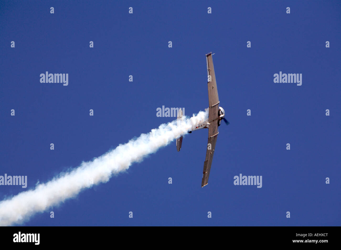 T 6 Texan North American Harvard or T 6 Texan or SNJ WW2 military ...