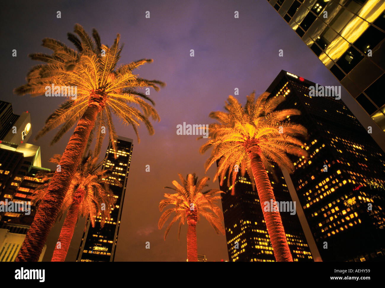 California Downtown Los Angeles buildings and palm trees at night Stock ...