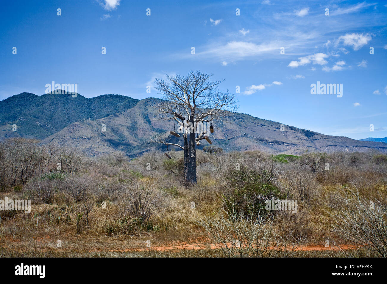 Pare Mountains, Tanzania, Africa Stock Photo - Alamy