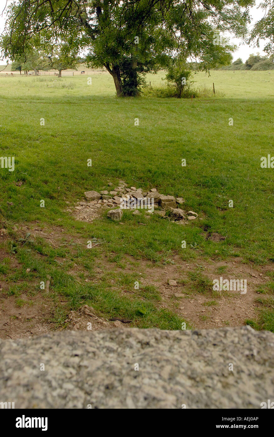 Stone circle spring in a field near Kemble marking the source of the ...