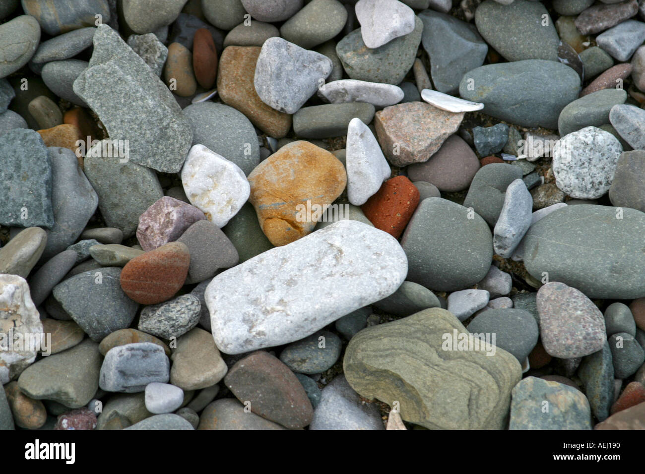 A collection of different shaped and colored pebbles on the side of a ...