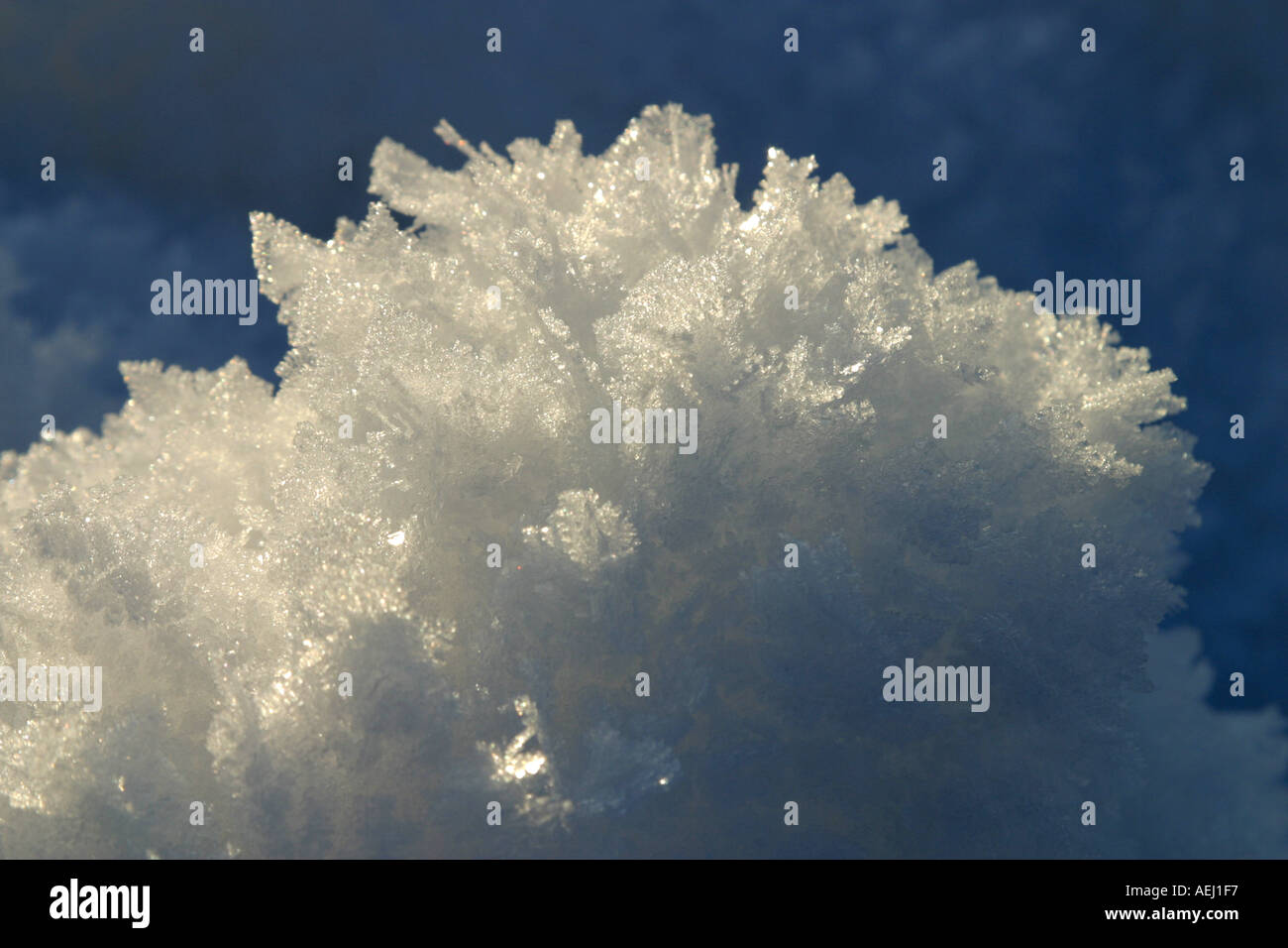 A naturally formed snow crystal during an extreme bout of frost Stock ...