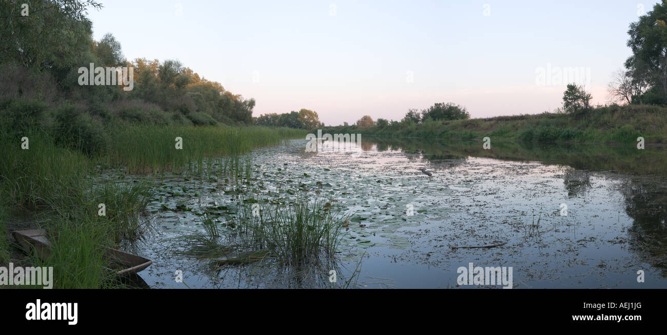 Reedy water hi-res stock photography and images - Alamy