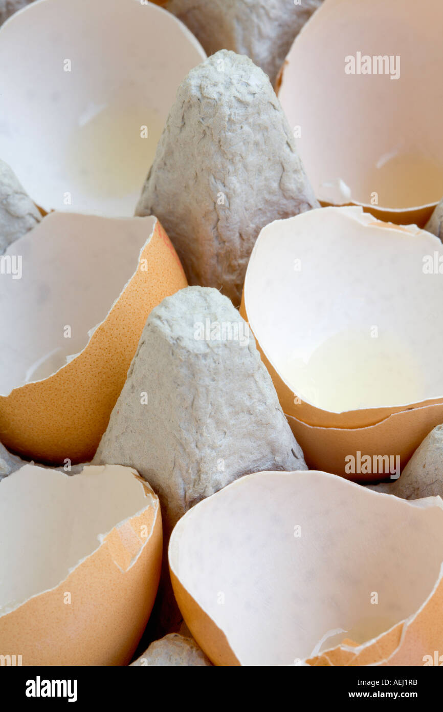 EGGSHELLS IN CARTON Stock Photo - Alamy
