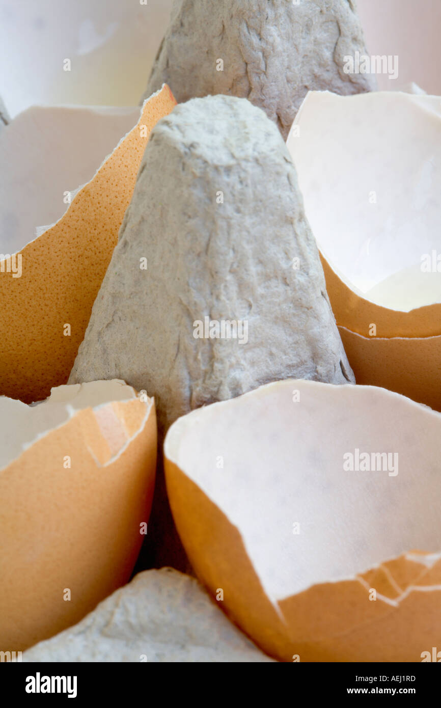 EGGSHELLS IN CARTON Stock Photo - Alamy