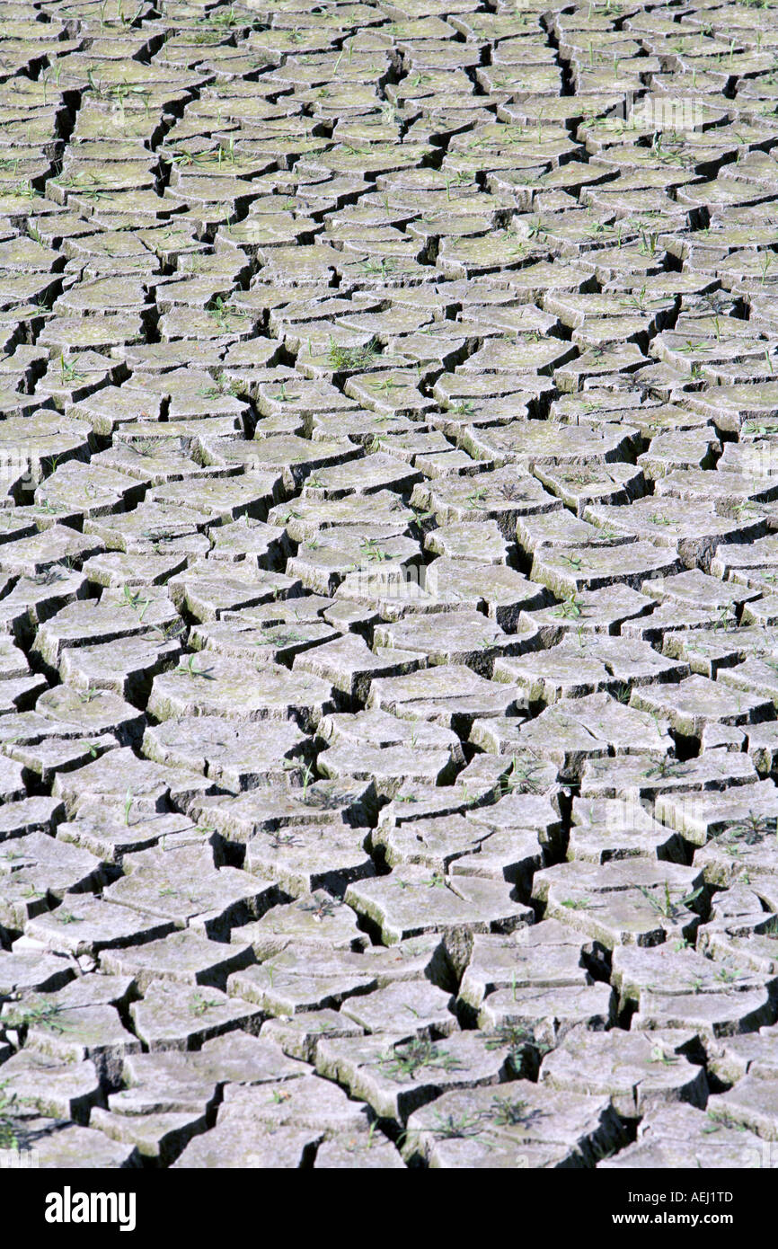 CRACKED MUD IN A DRIED LAKE BED Stock Photo - Alamy