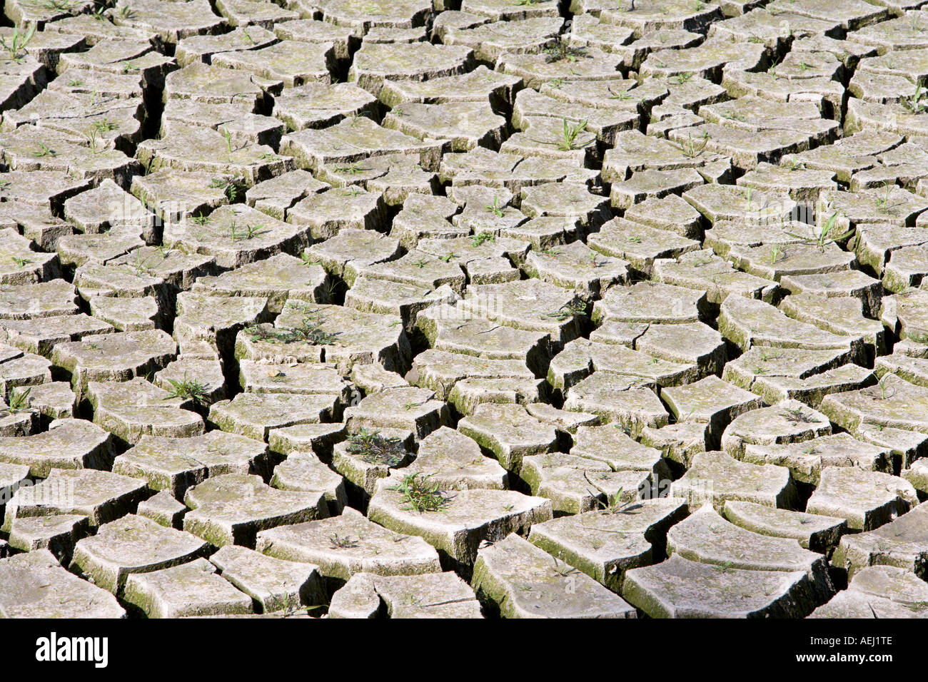 CRACKED MUD IN A DRIED LAKE BED Stock Photo - Alamy