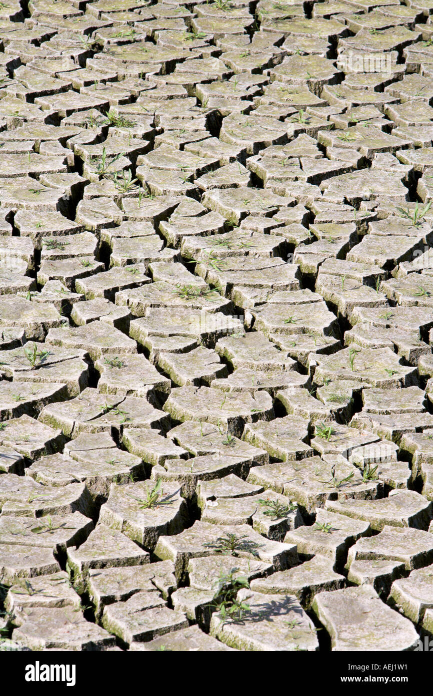 CRACKED MUD IN A DRIED LAKE BED Stock Photo - Alamy