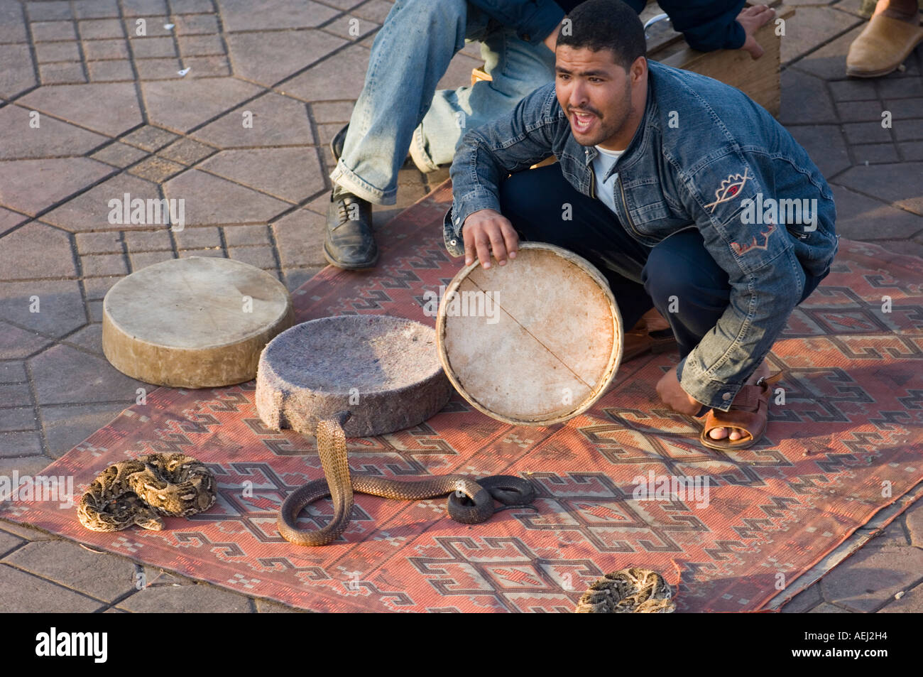 Marrakech cobra market snake hi-res stock photography and images - Alamy