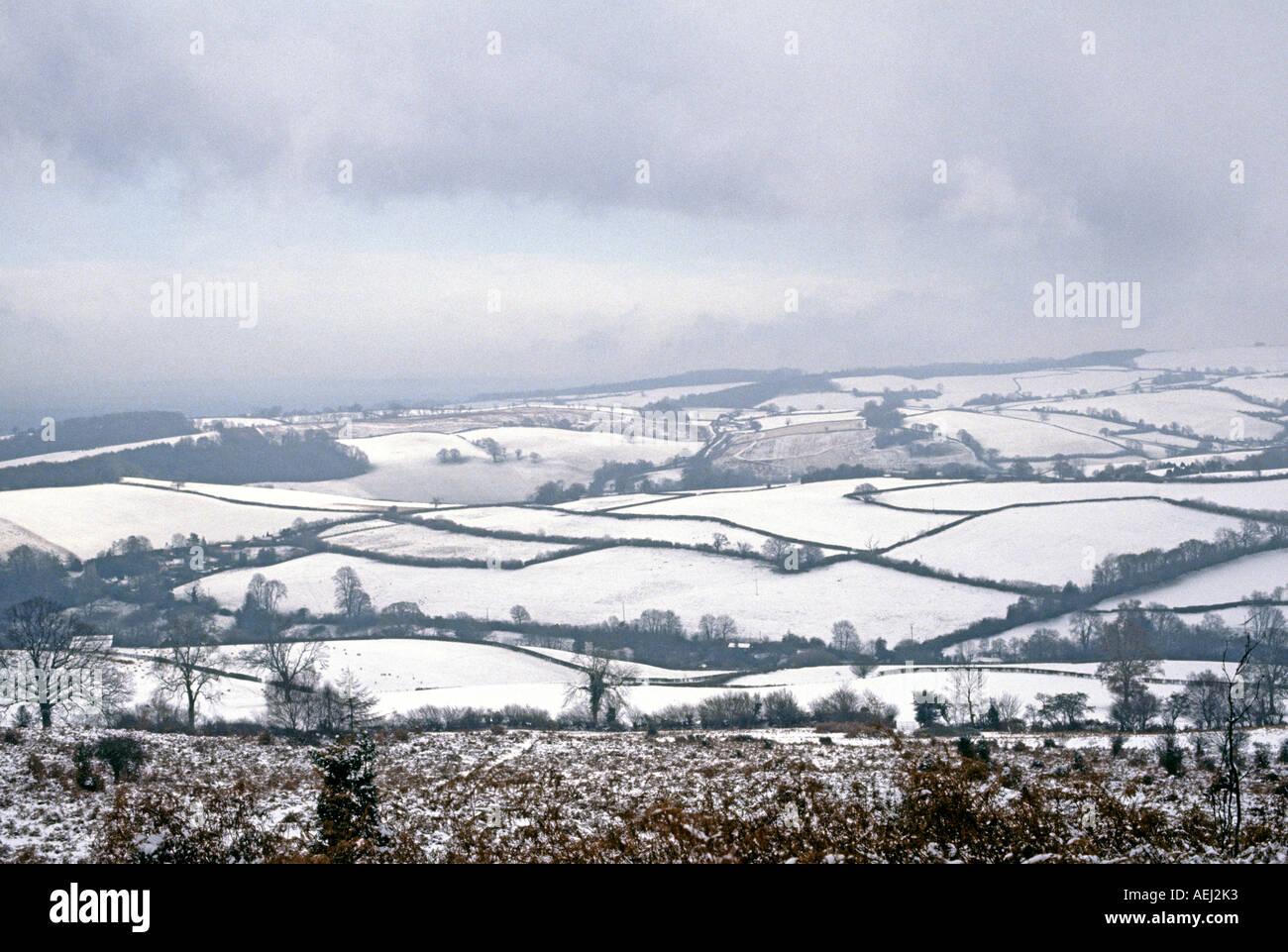Snow on the Quantock Hills, Somerset, UK Stock Photo - Alamy