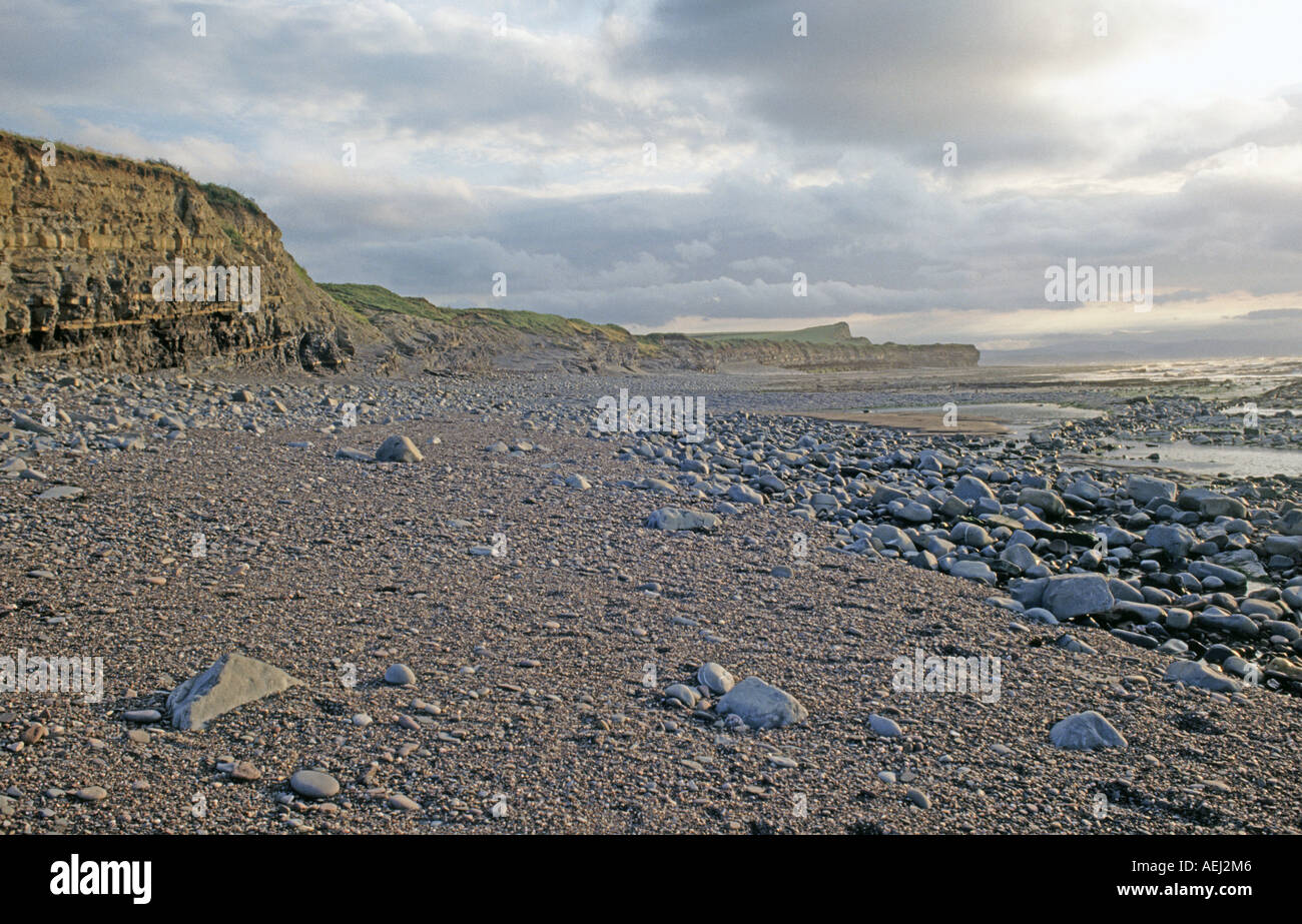 Kilve fossils hi-res stock photography and images - Alamy