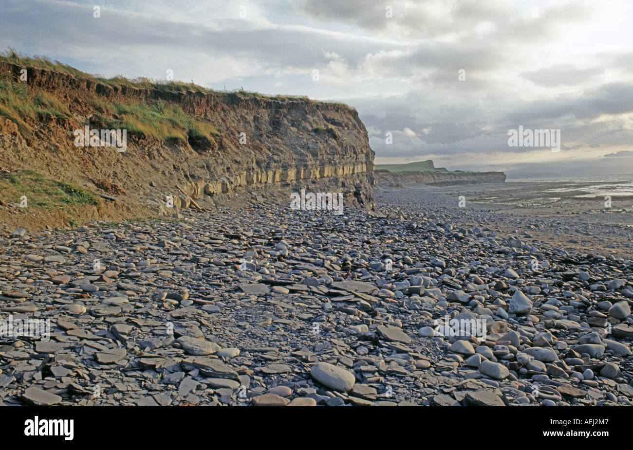 Kilve fossils hi-res stock photography and images - Alamy
