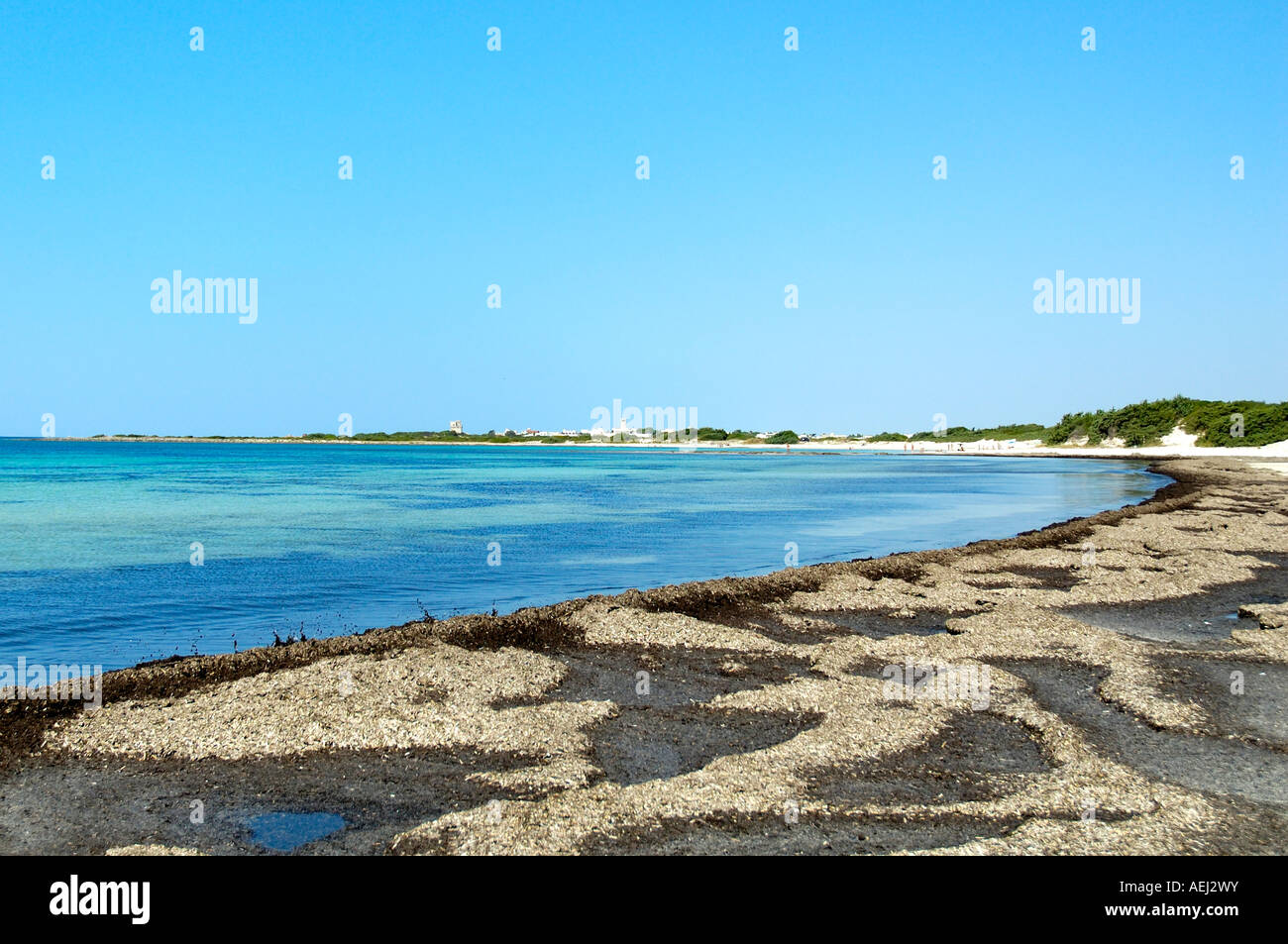 Punta prosciutto hi-res stock photography and images - Alamy
