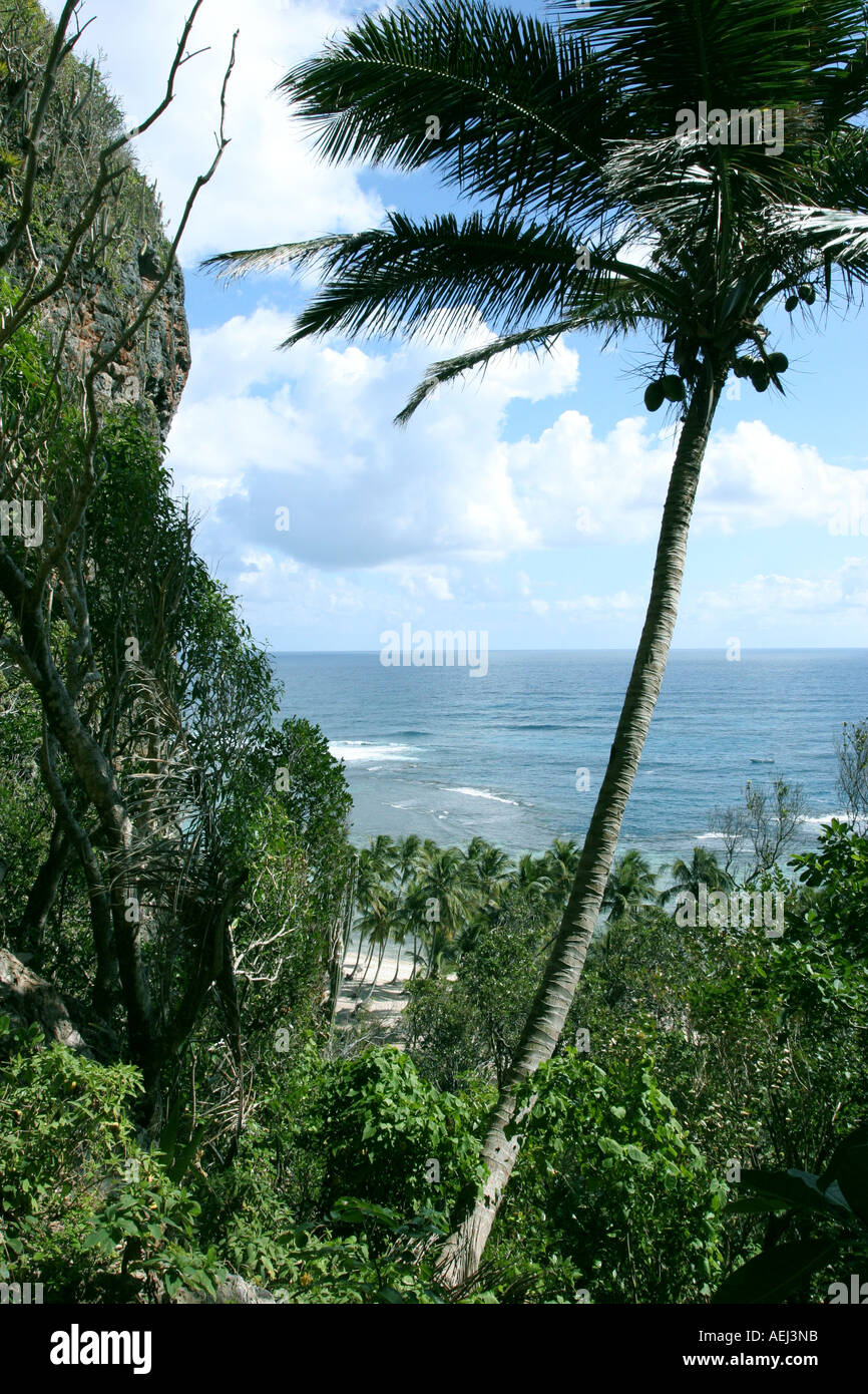 View of Playa Fronton Las Galeras Samana Dominican Republic This is a ...