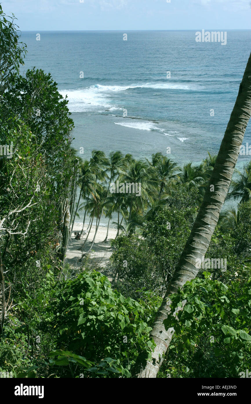 Rock climbing playa fronton dominican hi-res stock photography and ...