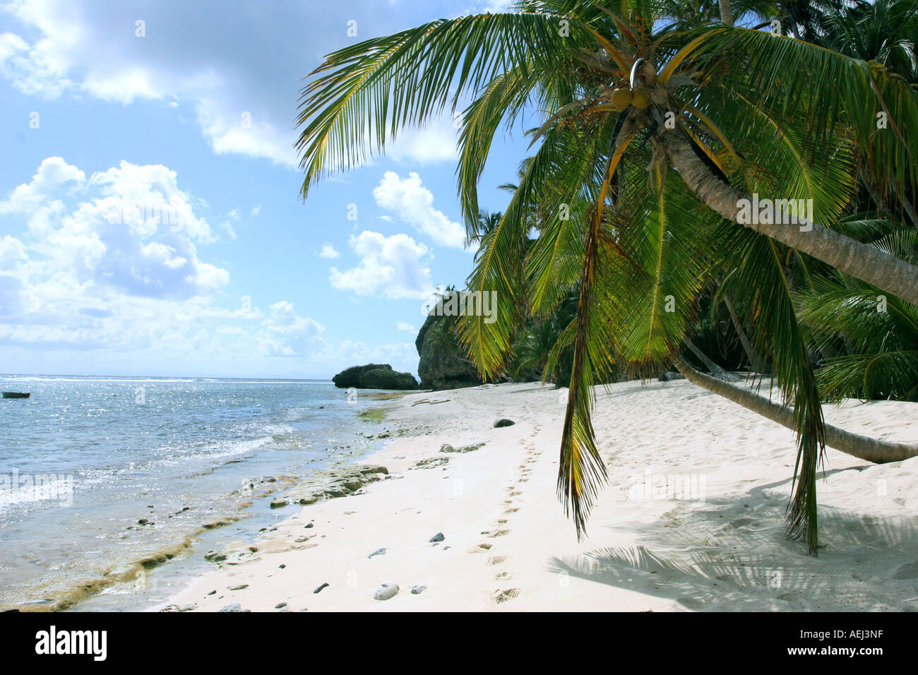 View of Playa Fronton Las Galeras Samana Dominican Republic This is a ...