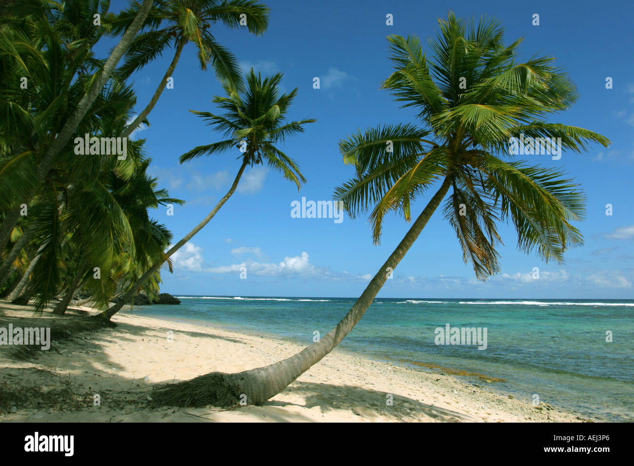Fronton beach dominican republic hi-res stock photography and images ...