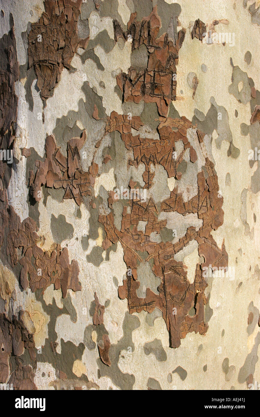 Flaky wood hi-res stock photography and images - Alamy