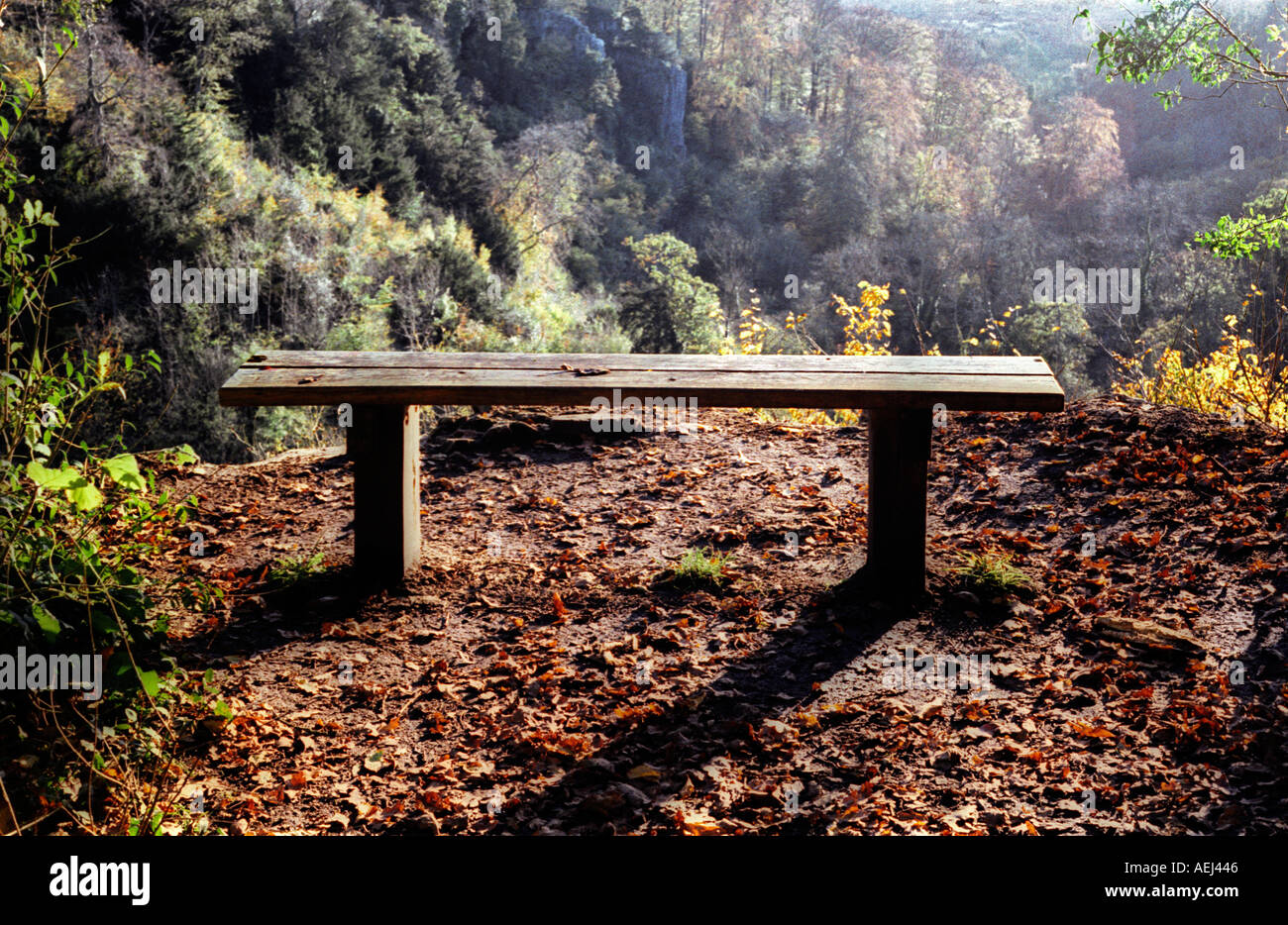 A bench in the grounds of Blaise Castle in Bristol Stock Photo - Alamy