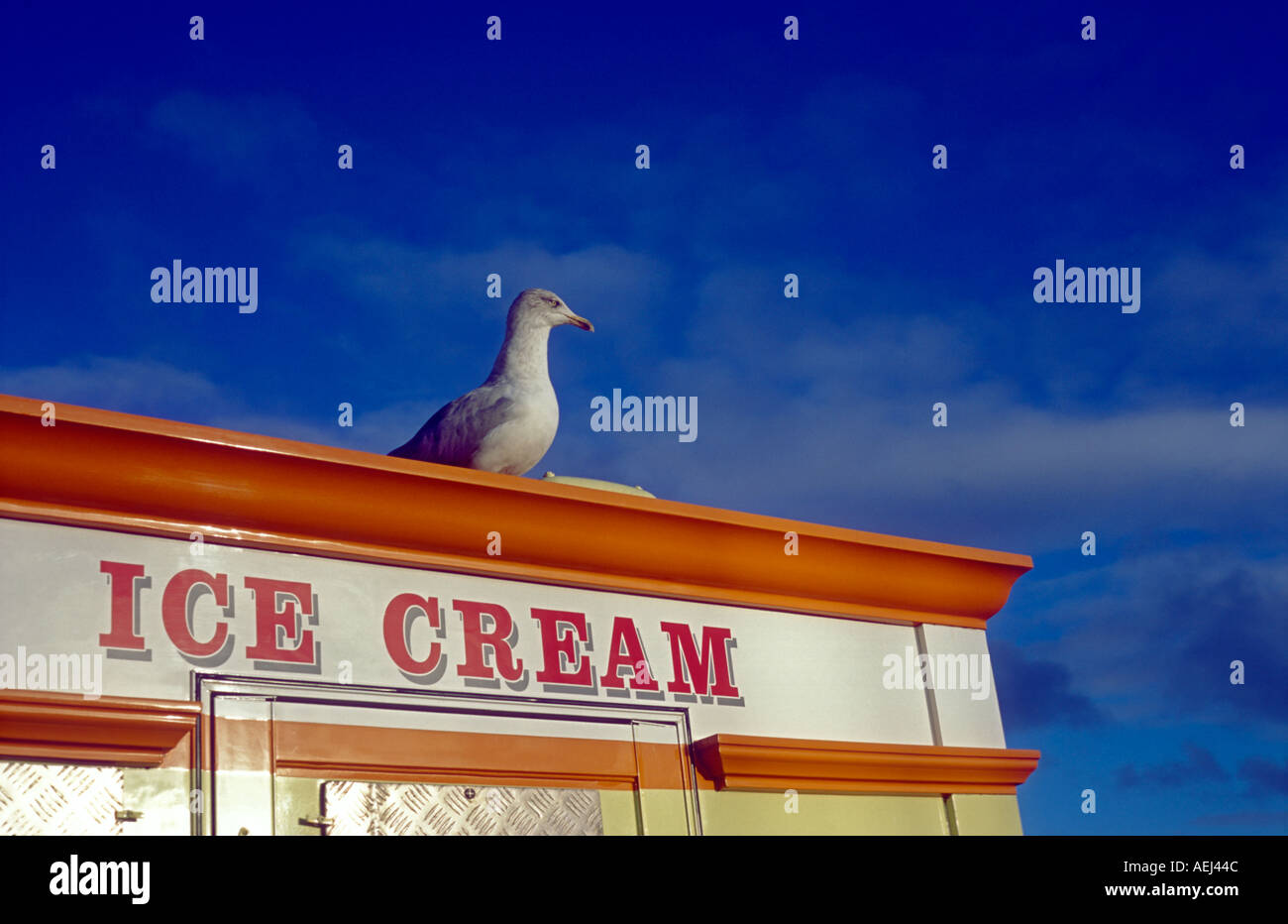 A seagull on top of an ice cream van in St Ives Cornwall Stock Photo ...