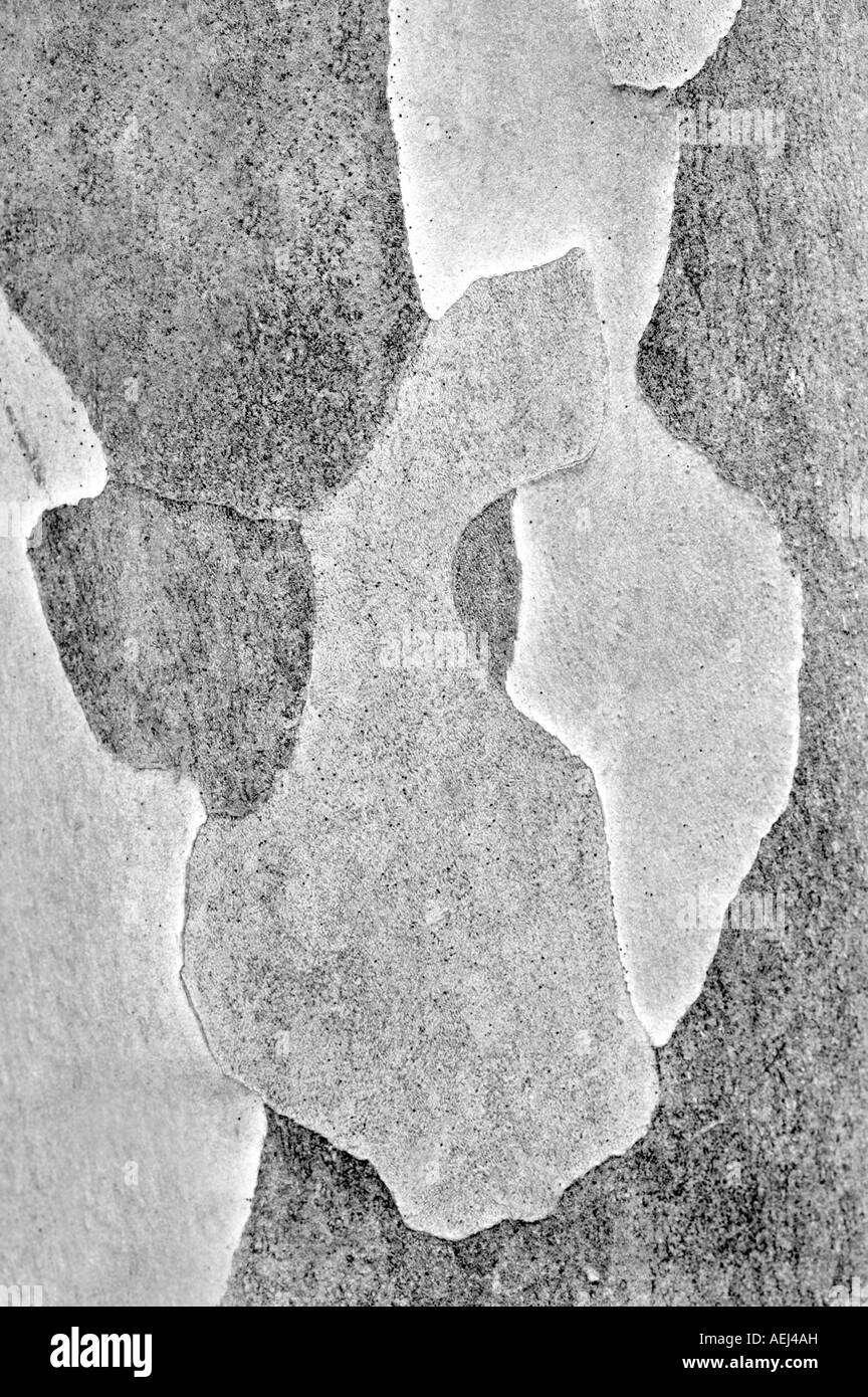 Close to woodland Black and White Stock Photos & Images - Alamy