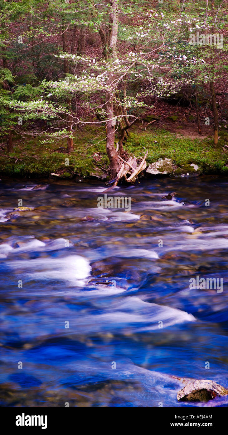 A panoramic view of Little River along Little River Road Stock Photo ...