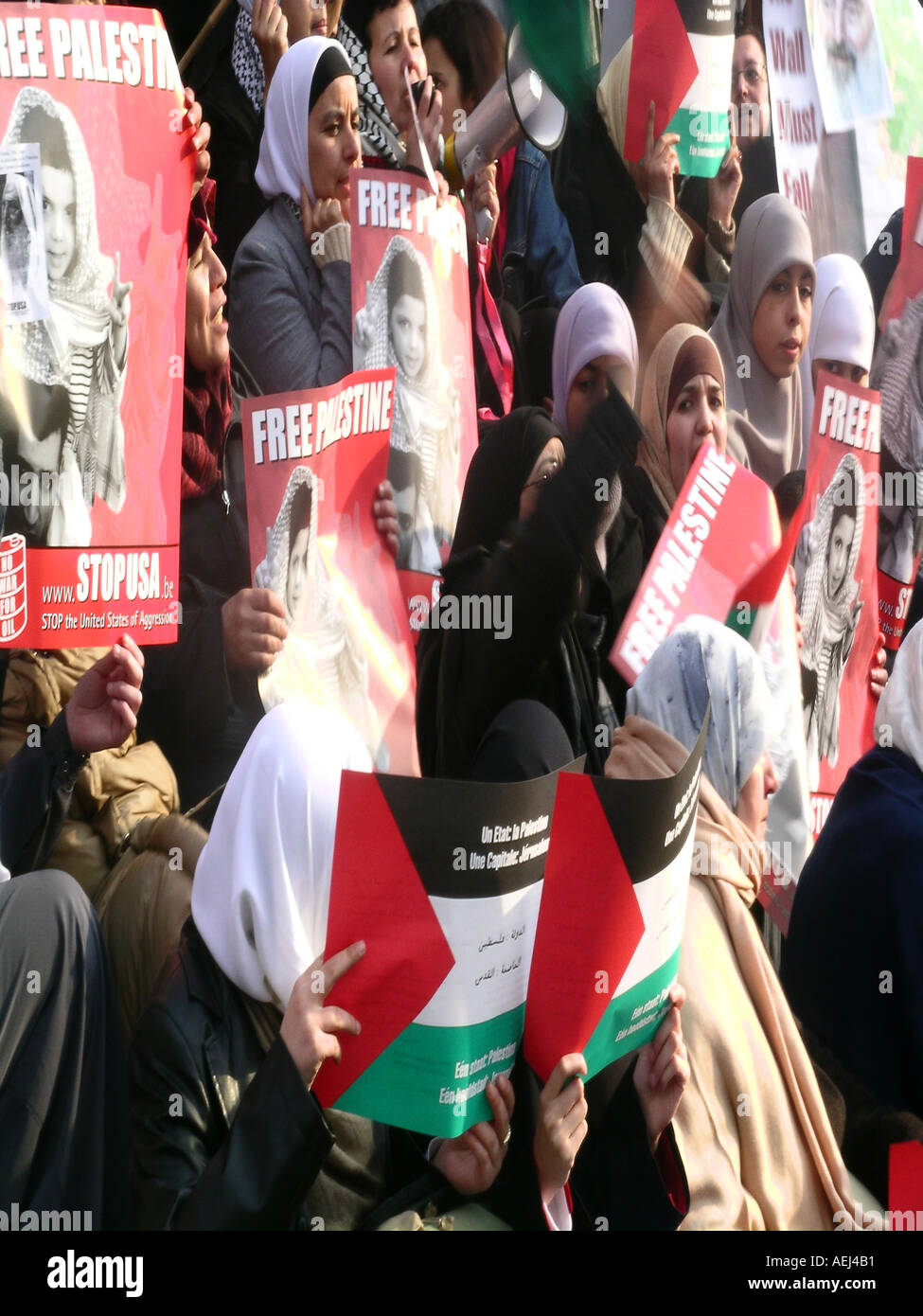Pro-Palestine protesters & poster Stock Photo - Alamy