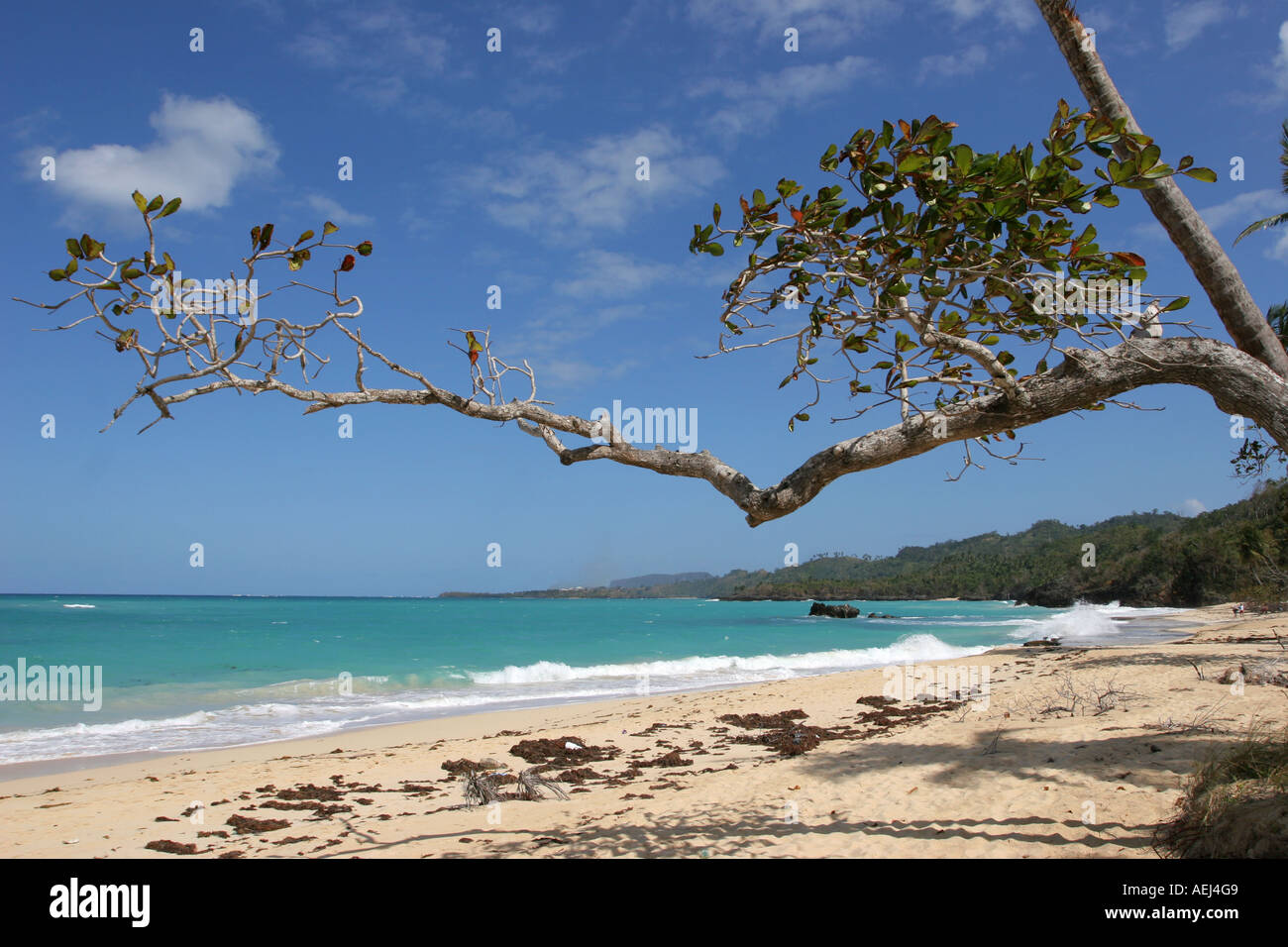 View of Playa Rincon Samana Dominican Republic Stock Photo - Alamy