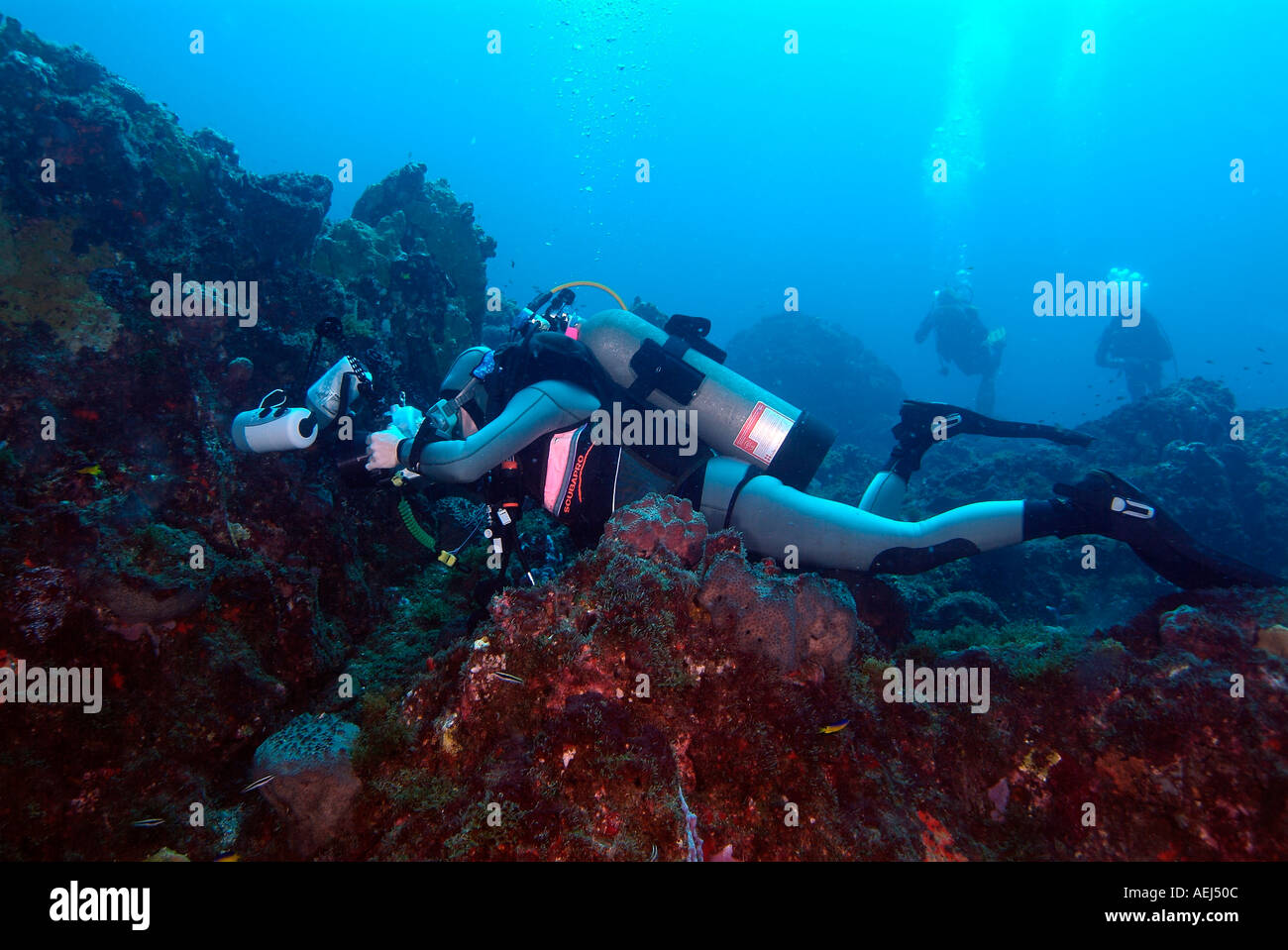 Scuba diver taking a picture hi-res stock photography and images - Alamy