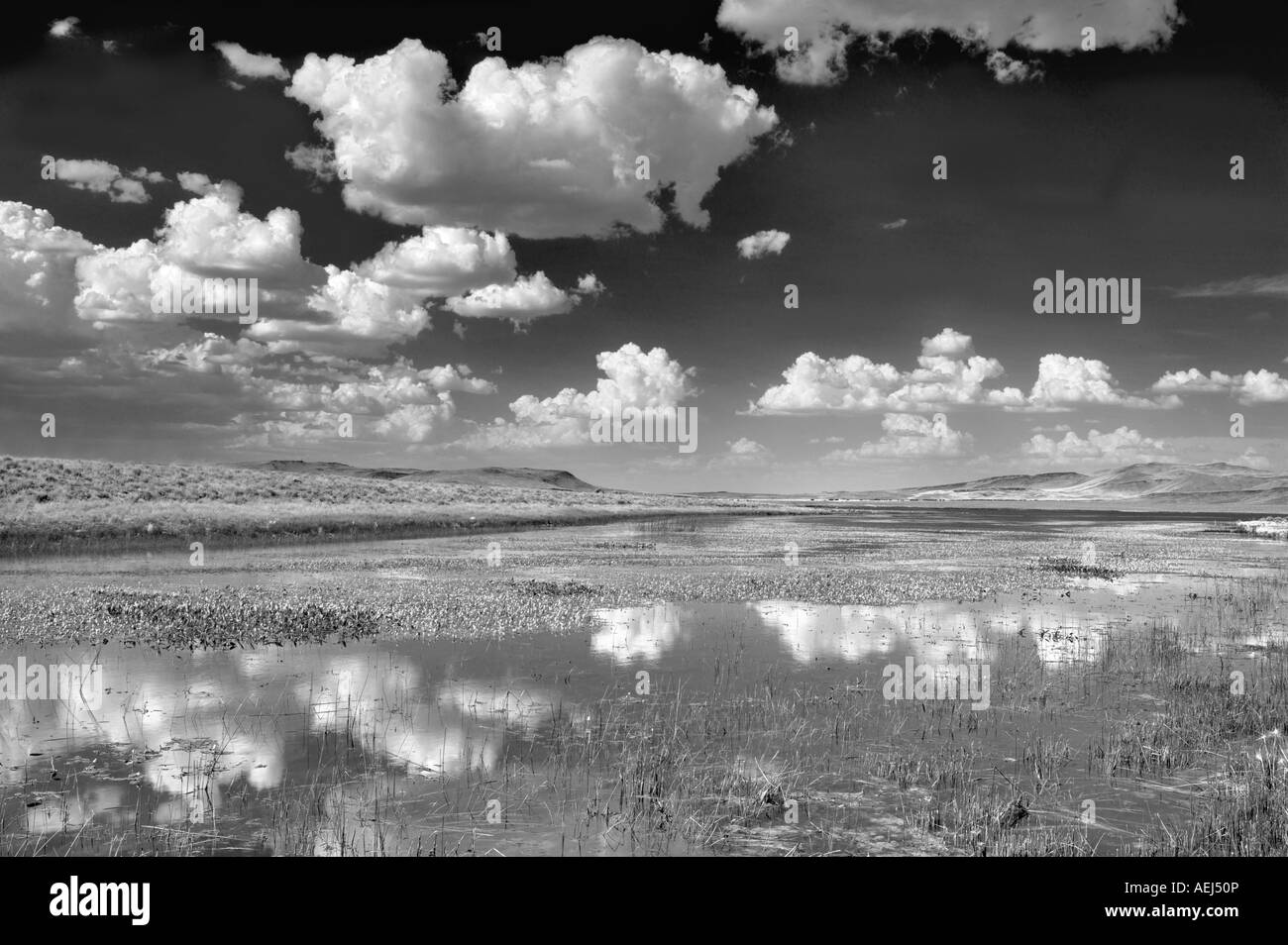 Water lake scenery Black and White Stock Photos & Images - Alamy