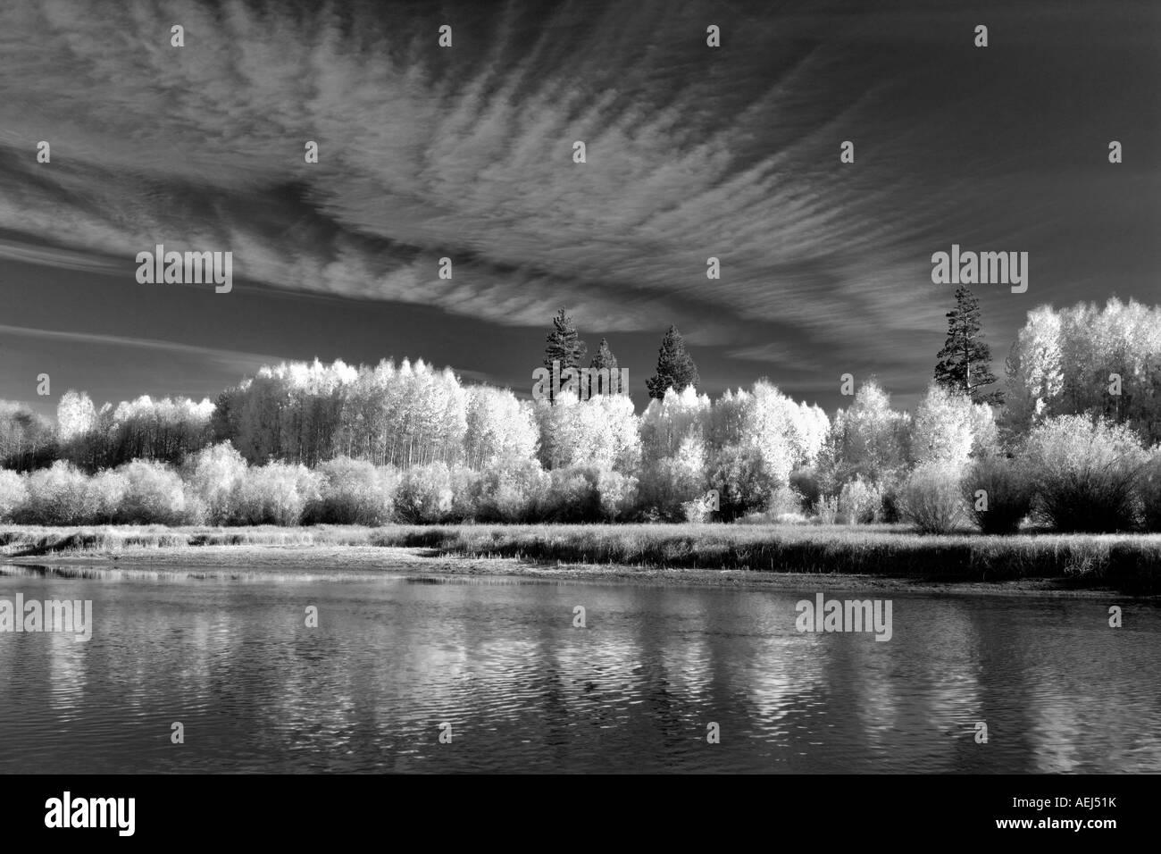 Fall colored aspenn trees and Deschutes River Central Oregon Stock ...