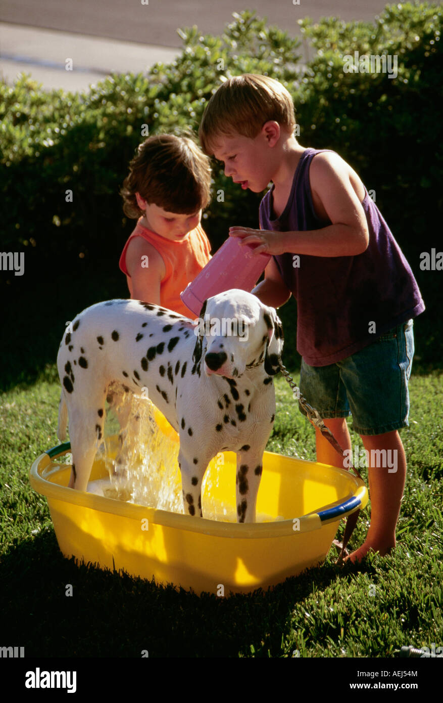 Two boys washing dog hi-res stock photography and images - Alamy
