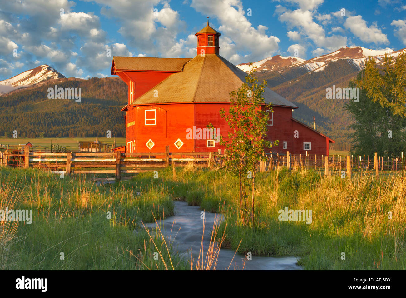 Joseph farms hi-res stock photography and images - Alamy