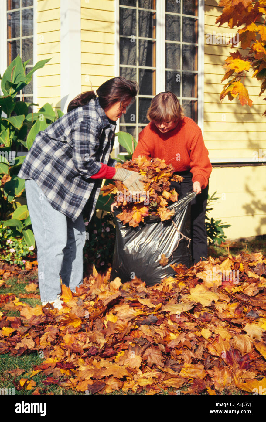 Women picking up fallen leaves Stock Photo - Alamy
