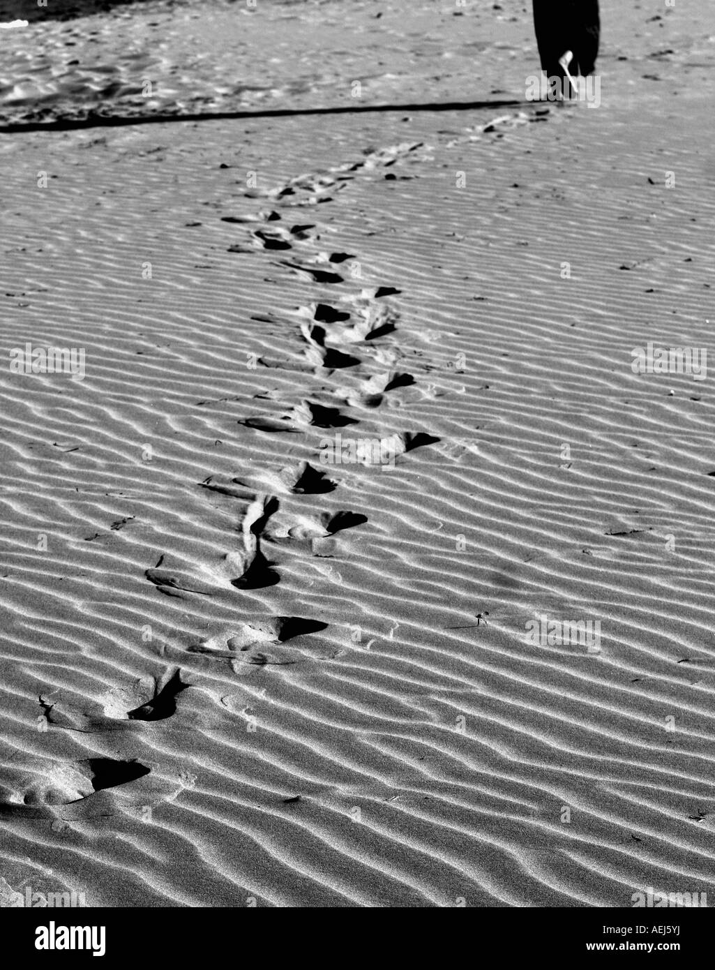Steps on the sand - Black & white Stock Photo - Alamy
