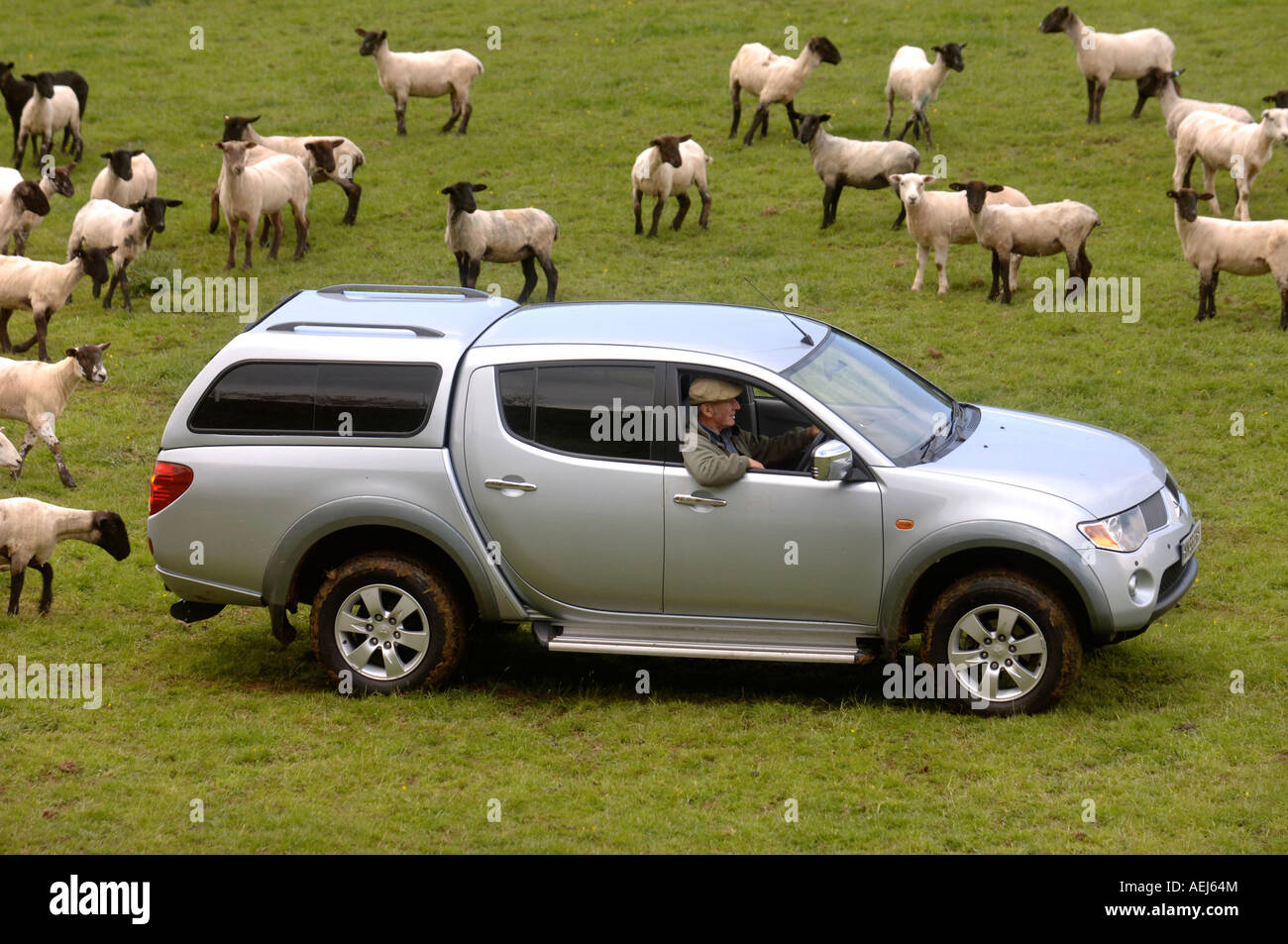 Double cab pickup hi-res stock photography and images - Alamy