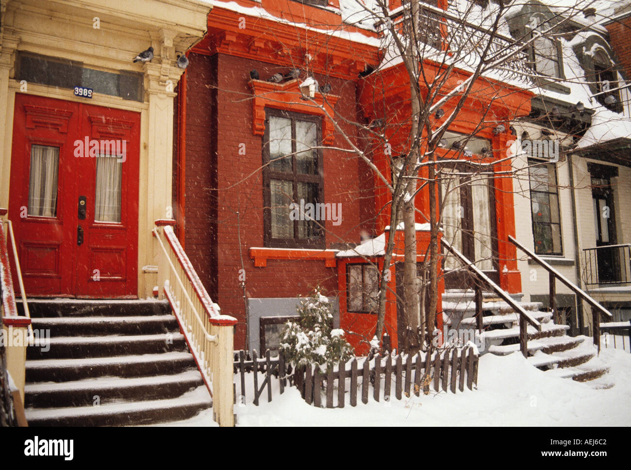 Typical street in the Plateau Area in Montreal Canada Stock Photo - Alamy