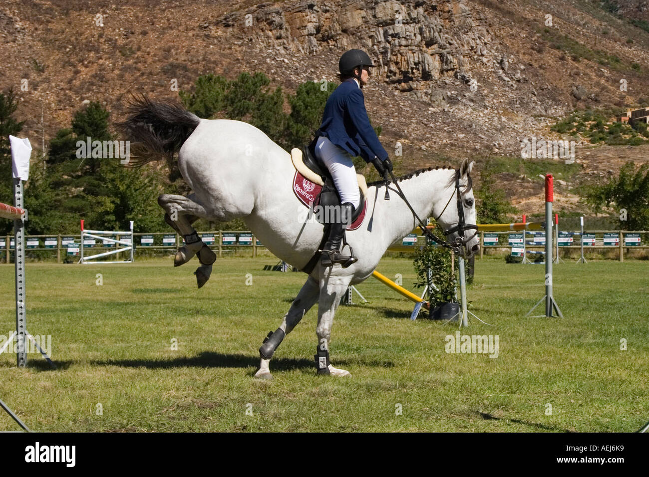 Gray warmblood horse landing after a jump during the 2006 Western Cape ...