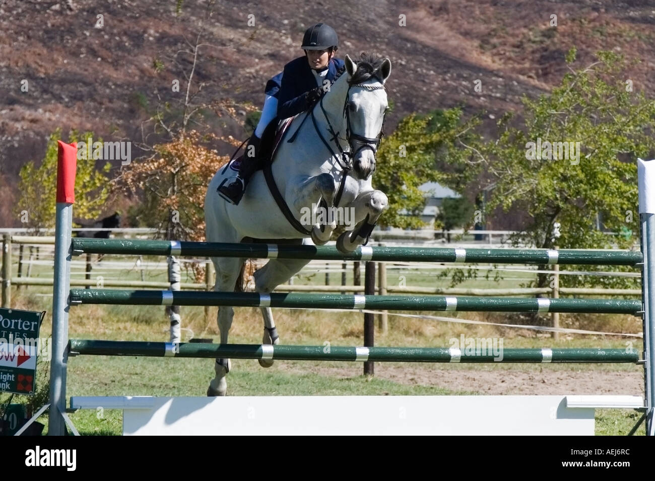 Showjumper winner hi-res stock photography and images - Alamy