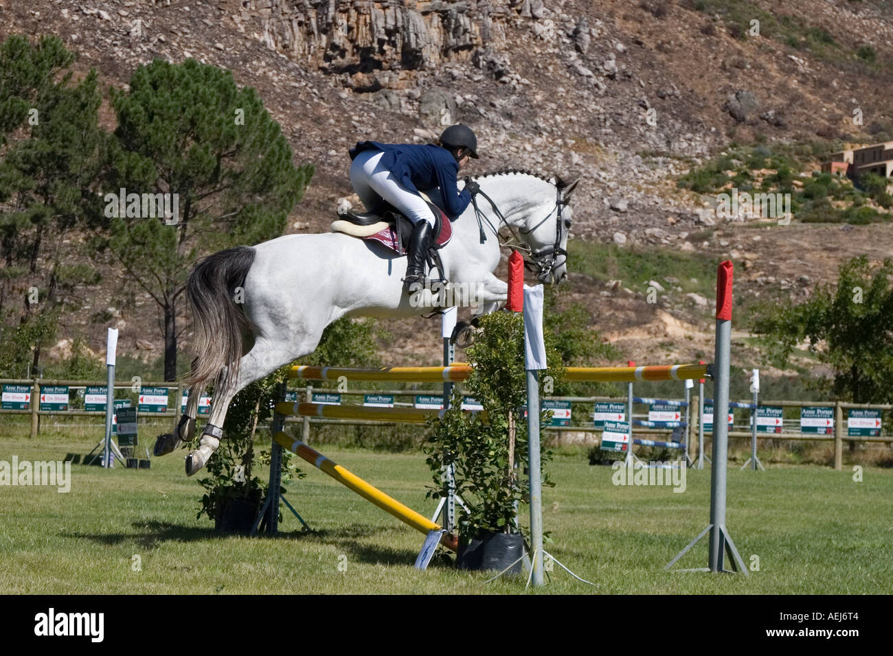 Whisper Cool, the winner of the 2006 Western Cape warmblood showjumping ...